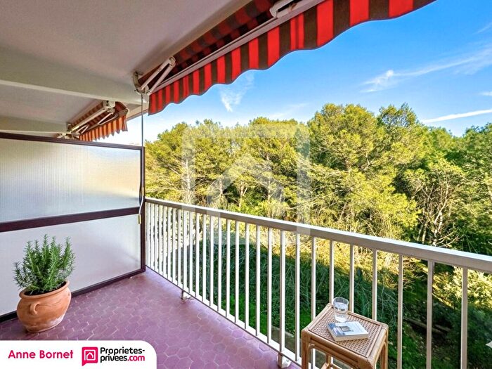 Peymeinade - Appartement 1 pièce à vendre