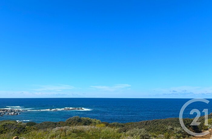 Maison à vendre - Corbara - 6 pièces - 5 chambres