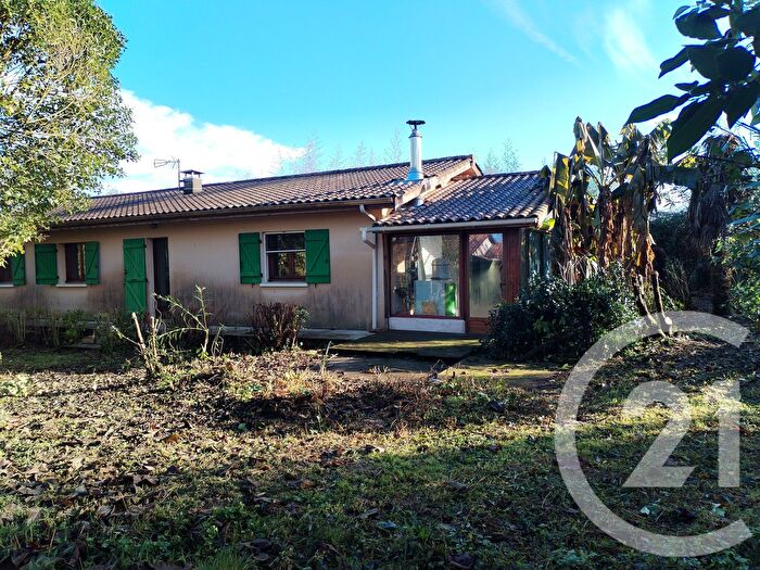 Maison à vendre - Berthez - 5 pièces - 4 chambres