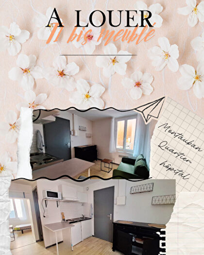 Appartement à louer - Montauban, Centre-ville - 2 pièces - 1 chambre