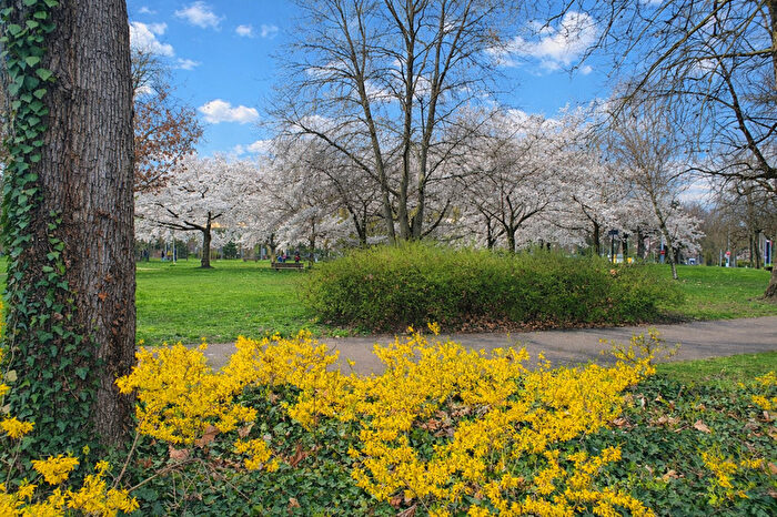 Appartement à vendre - Strasbourg, Wacken - 4 pièces - 2 chambres