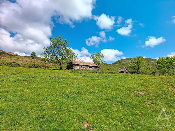 Maison à vendre - Saint-Pastous - 1 pièce - 1 chambre