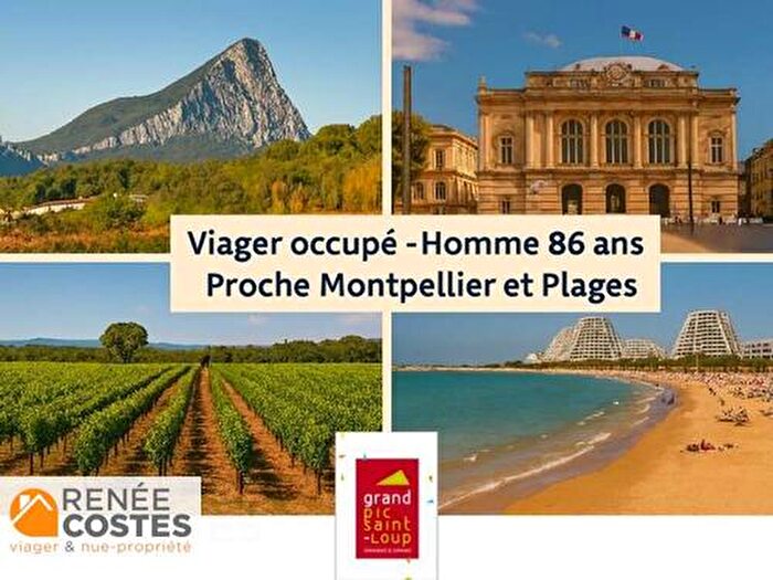 Maison à vendre - Saint-Martin-de-Londres - 3 pièces - 2 chambres