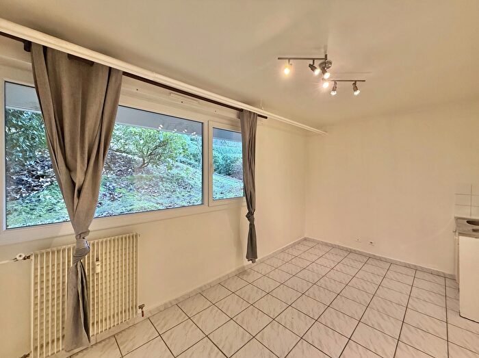 Appartement à louer - Châtenay-Malabry, Malabry - 1 pièce