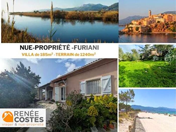 Maison à vendre - Furiani - 6 pièces - 5 chambres