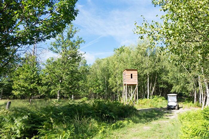 Maison à vendre - Isdes - 13 pièces - 10 chambres