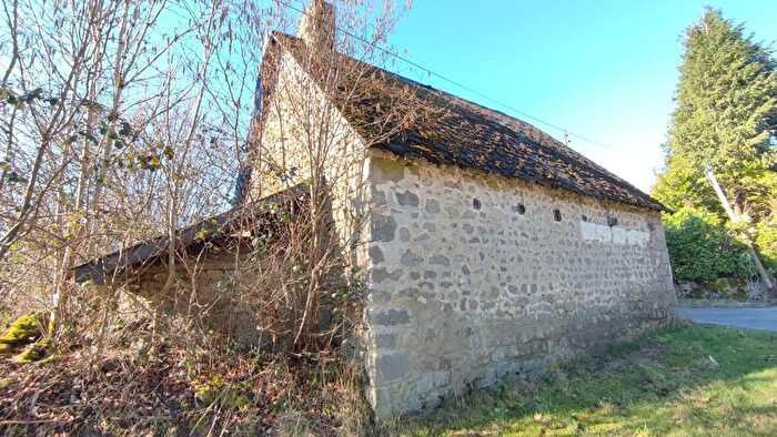 Maison à vendre - Saint-Julien-près-Bort - 4 pièces