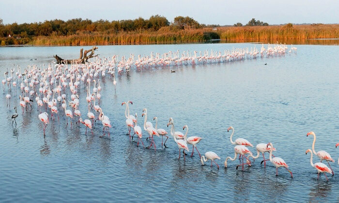 Appartement à vendre - Mauguio - 1 pièce