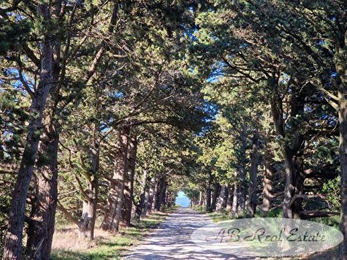 Maison à vendre - Carcassonne, Centre-ville - 16 chambres