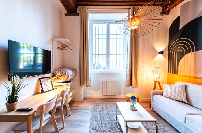 Appartement à louer - Lyon er , Bas des Pentes, Presquîle - 1 pièce