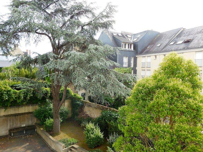 Appartement 1 pièce à louer à Centre, Angers