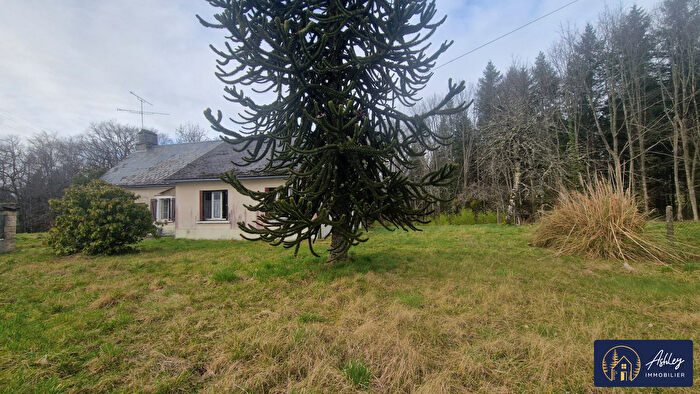 Maison à vendre - Latronche - 5 pièces - 3 chambres