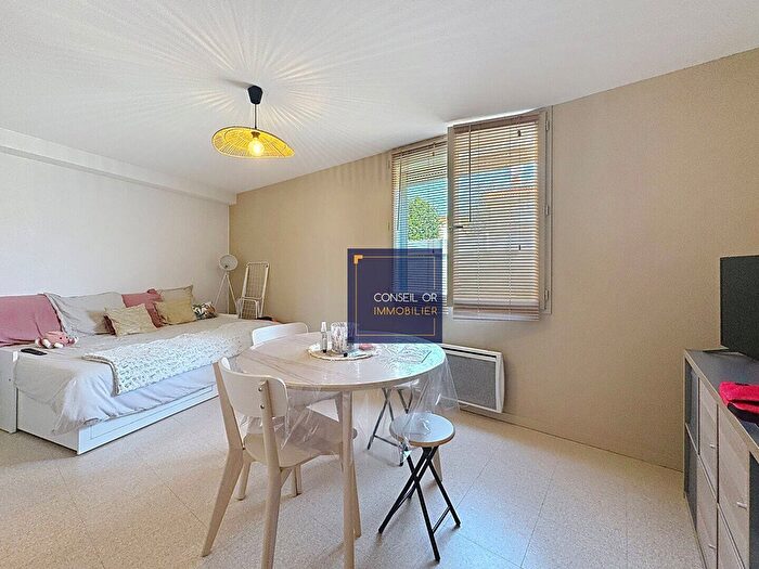 Appartement à louer - Champlong, Saint-Genis-Laval - 1 pièce