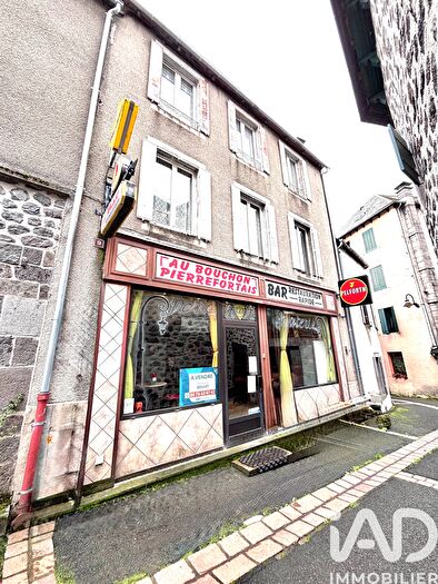 Maison à vendre - Pierrefort - 5 pièces - 2 chambres