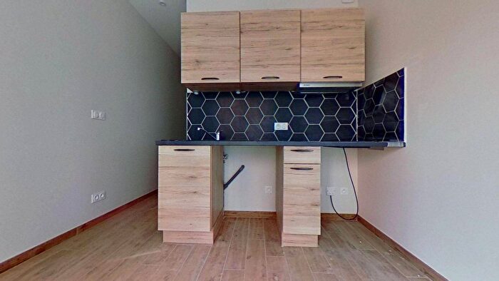 Appartement 1 pièce à louer à Les Genêts-Le Vinatier-Le Lessivas, Bron