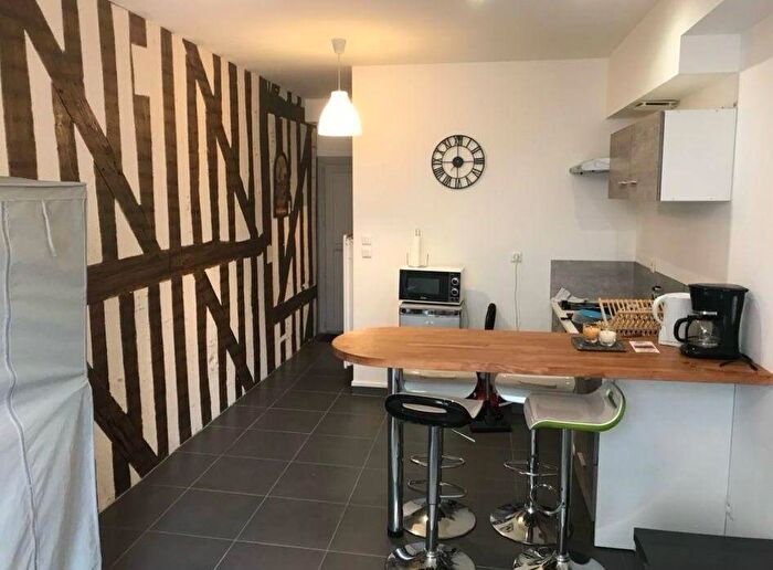 Appartement 1 pièce à louer - Bourgogne-Châtelet, Orléans