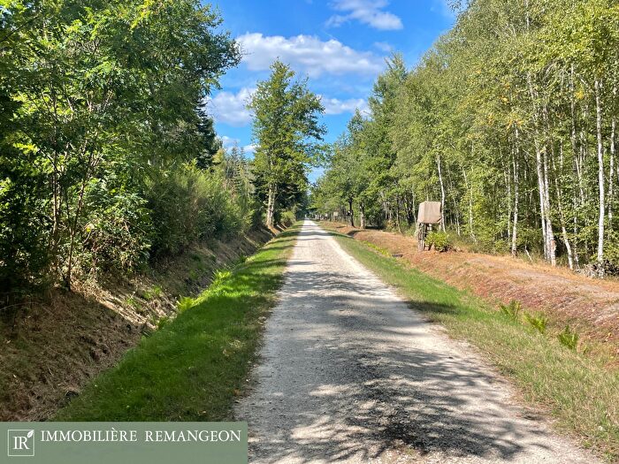Maison à vendre - Neuvy-sur-Barangeon - 8 pièces - 5 chambres