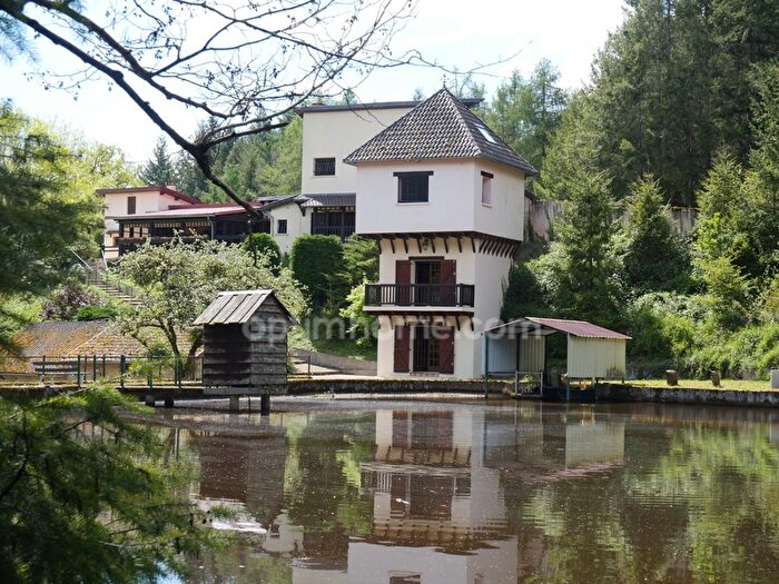 Maison à vendre - Saint-Silvain-sous-Toulx - 10 pièces - 3 chambres