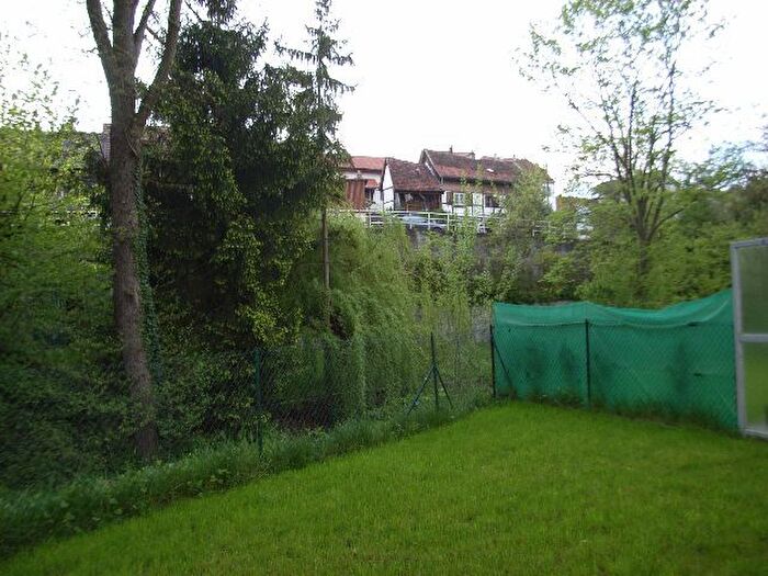 Appartement à louer - Buschwiller - 2 pièces - 1 chambre