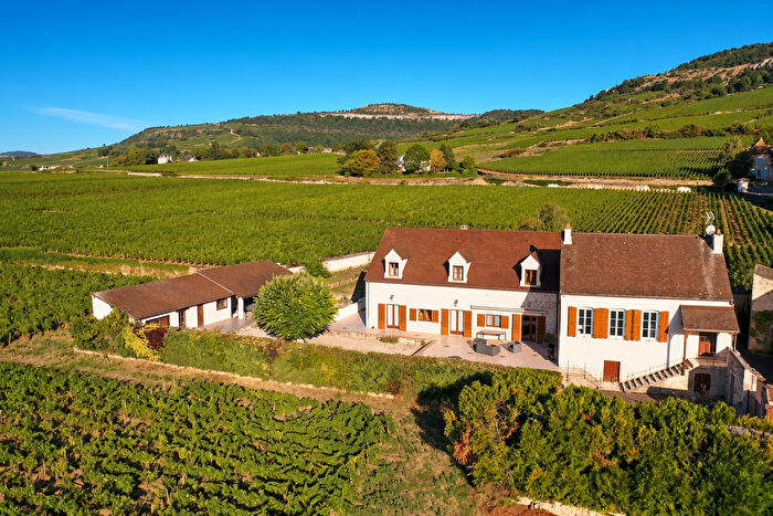 Santenay - Maison 12 pièces à vendre