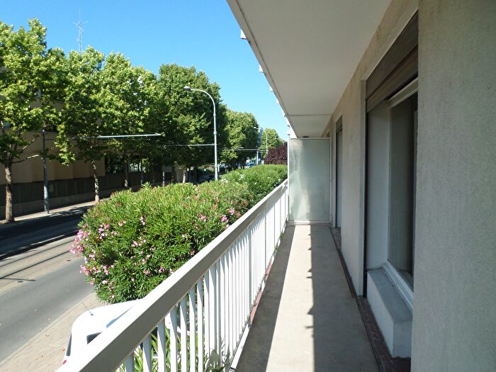 Appartement à louer - Montpellier, Port Marianne, Richter - 4 pièces - 3 chambres