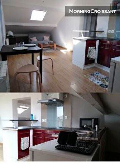 Appartement à louer - Grand Centre, Albi - 2 pièces - 1 chambre