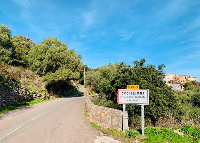 Maison à vendre - Santa-Reparata-di-Balagna - 7 pièces - 2 chambres