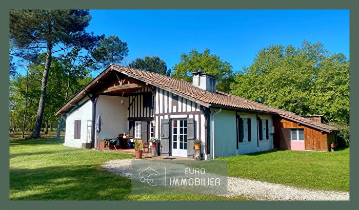 Maison à vendre - Luxey - 9 pièces - 5 chambres