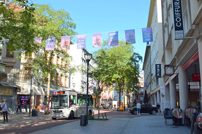 Appartement à vendre - Mulhouse, Centre historique - 5 pièces - 3 chambres