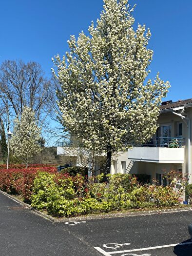 Montendre : Appartement 2 pièces à vendre