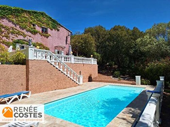 Maison à vendre - Lecci - 11 pièces - 9 chambres