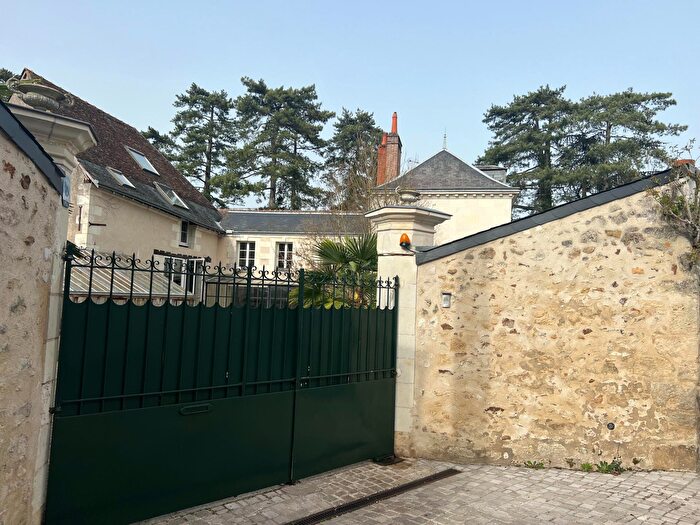 Saint-Avertin, Cormery, Cicottées - Maison 16 pièces à vendre