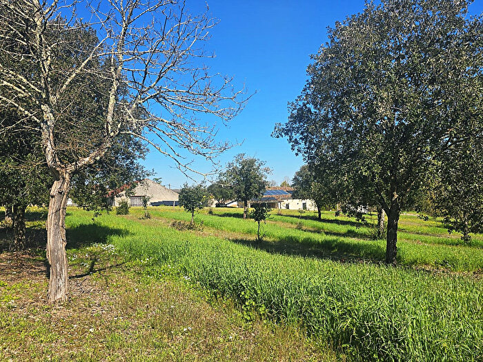 Maison à vendre - Lacaussade - 6 pièces - 3 chambres