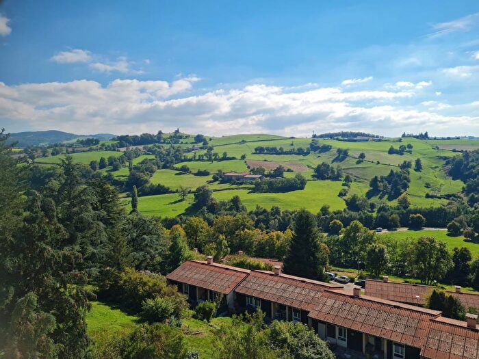 Appartement à louer - Saint-Symphorien-sur-Coise - 3 pièces