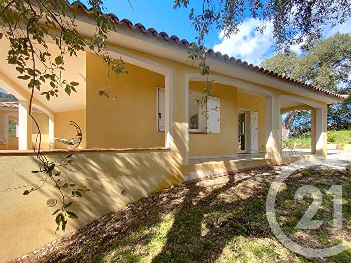 Maison à vendre - Lecci - 8 pièces - 5 chambres