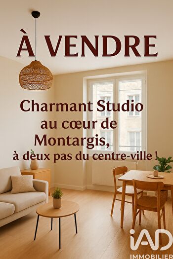 Appartement à vendre - Montargis, Centre-ville - 1 pièce