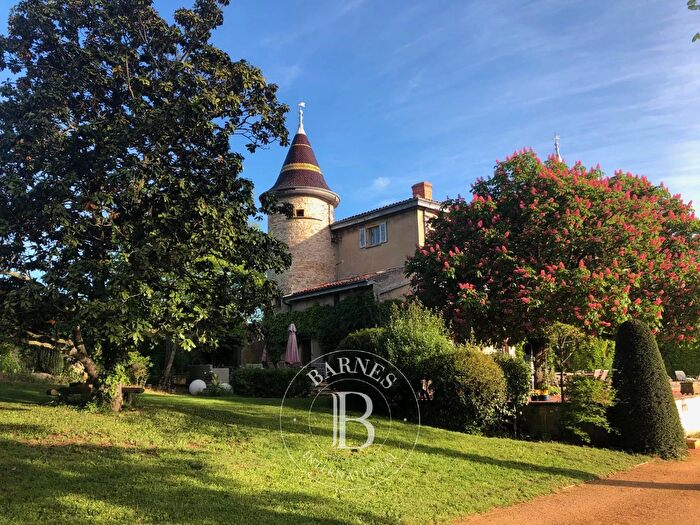 Maison à vendre - Marcilly-dAzergues - 15 pièces - 8 chambres