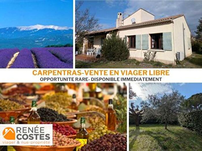 Maison à vendre - Carpentras, Coeur de Ville - 4 pièces - 3 chambres