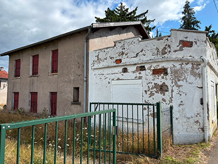 Maison à vendre - Liffol-le-Grand - 12 pièces