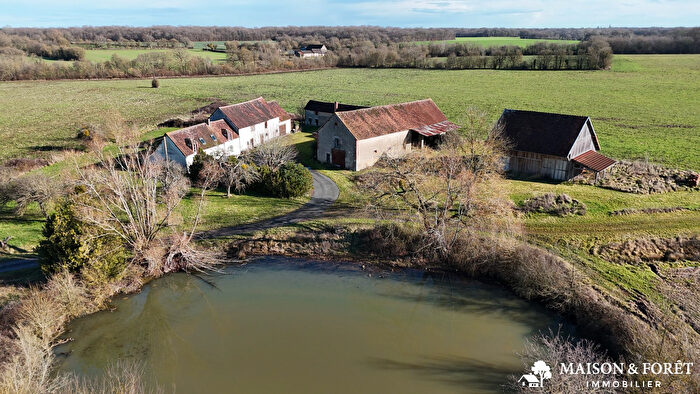 Maison à vendre - Ouzouer-sur-Trézée - 6 pièces - 5 chambres