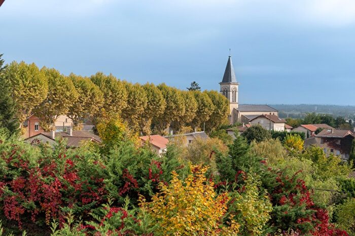 Maison à vendre - Beynost - 15 pièces - 4 chambres