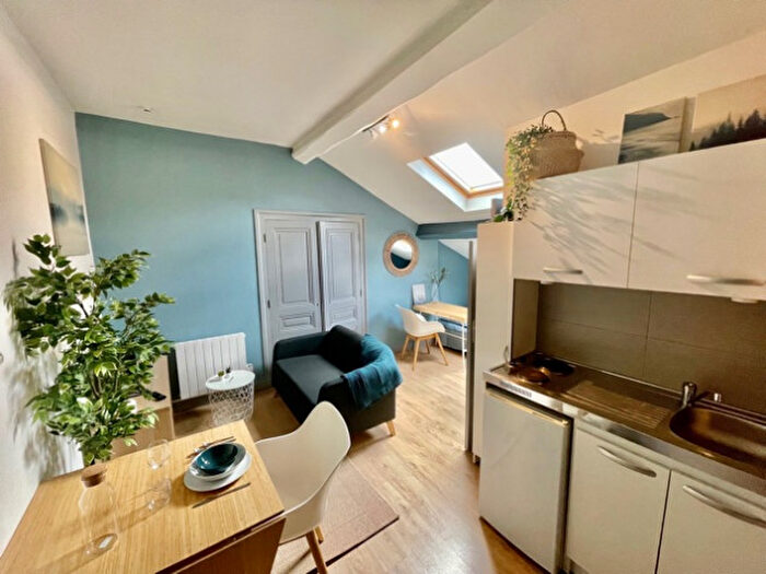 Saint-Étienne, La Métare, Le Portail Rouge, Fauriel, Villeboeuf - Appartement 1 pièce à louer
