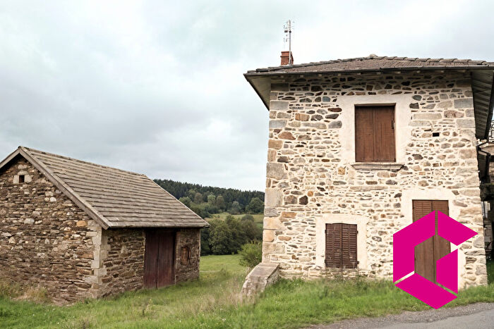 Maison à vendre - Saint-Alyre-dArlanc - 3 pièces - 2 chambres