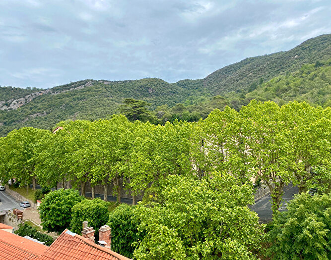 Appartement à vendre - Amélie-les-Bains-Palalda - 1 pièce