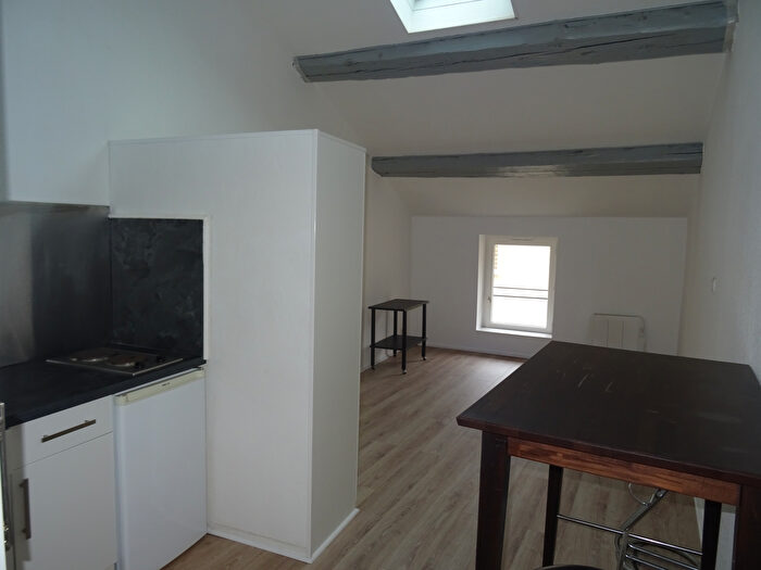 Nancy, Ville vieille, Léopold - Appartement 1 pièce à louer