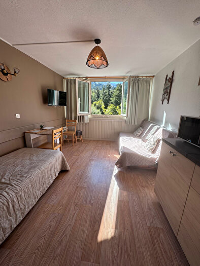 Appartement 1 pièce à vendre à Laveissière