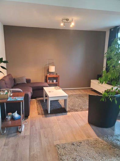 Appartement 1 pièce à louer à Croix Luizet, Villeurbanne