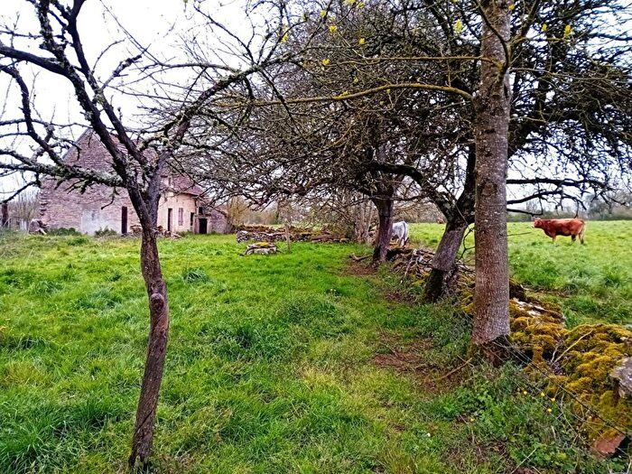 Maison à vendre - Beauregard - 2 pièces - 1 chambre