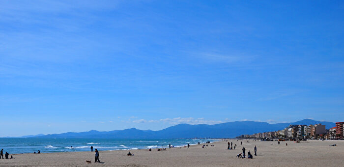 Appartement à vendre - Canet-en-Roussillon, Le Port nautique, Europa - 3 pièces - 2 chambres