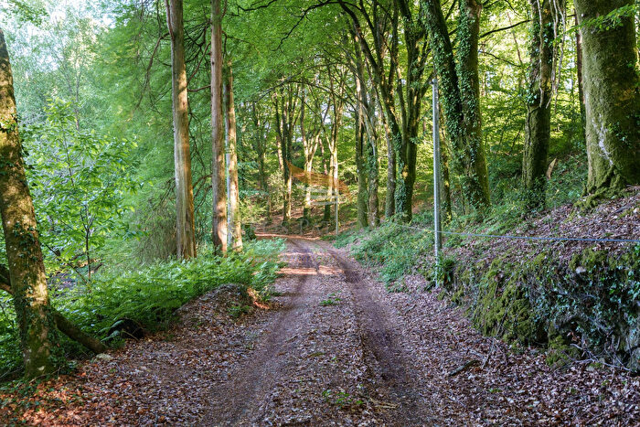 Maison à vendre - Bignan - 6 pièces - 3 chambres